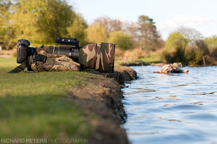 Low Level Shooting | Richard Peters Wildlife Photography