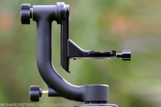 Wimberley MKII (WH-200) Review | Richard Peters Wildlife Photography