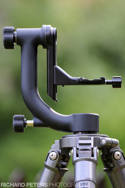 Wimberley MKII (WH-200) Review | Richard Peters Wildlife Photography