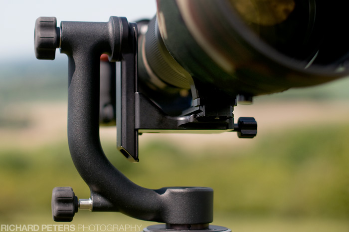 Wimberley MKII (WH-200) Review | Richard Peters Wildlife Photography