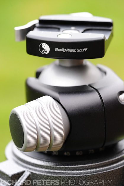Really Right Stuff BH-55 ballhead, Review | Richard Peters Wildlife Photography