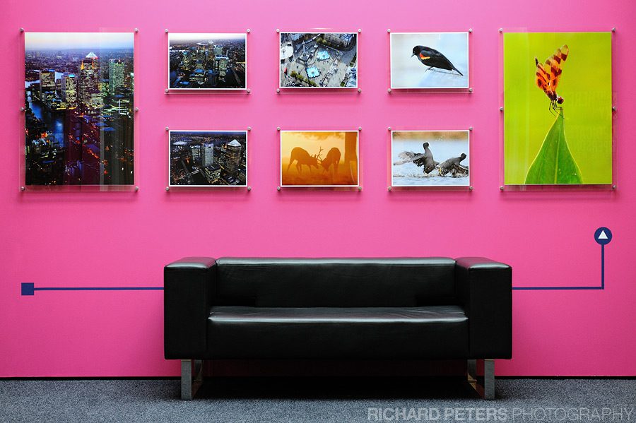 Some of my Photos on display | Richard Peters Wildlife Photography