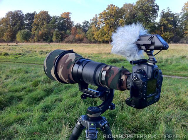 My first play with the Nikon D3s: Wildlife [video] | Richard Peters ...