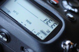 Nikon DSLR Error codes: Explained | Richard Peters Wildlife Photography