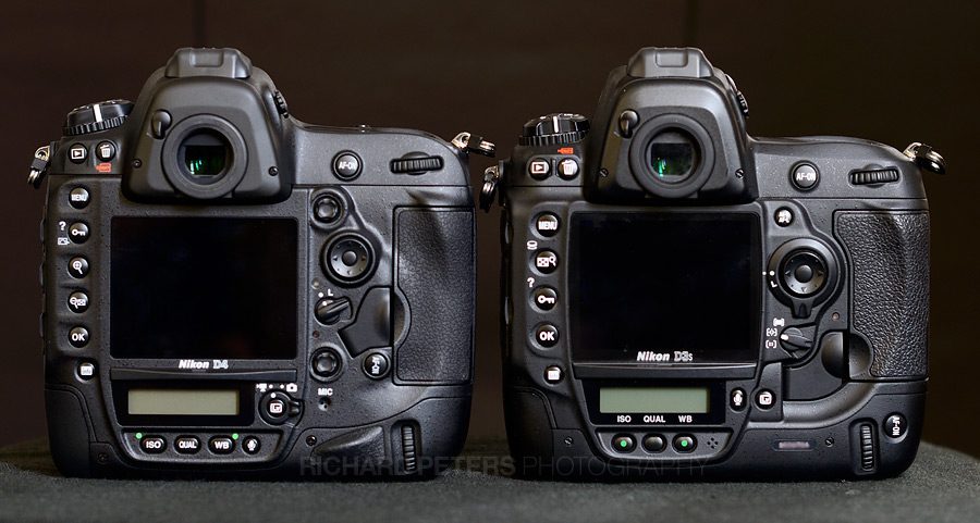 Nikon D4 vs D3s: initial review and comparison | Richard Peters Wildlife Photography