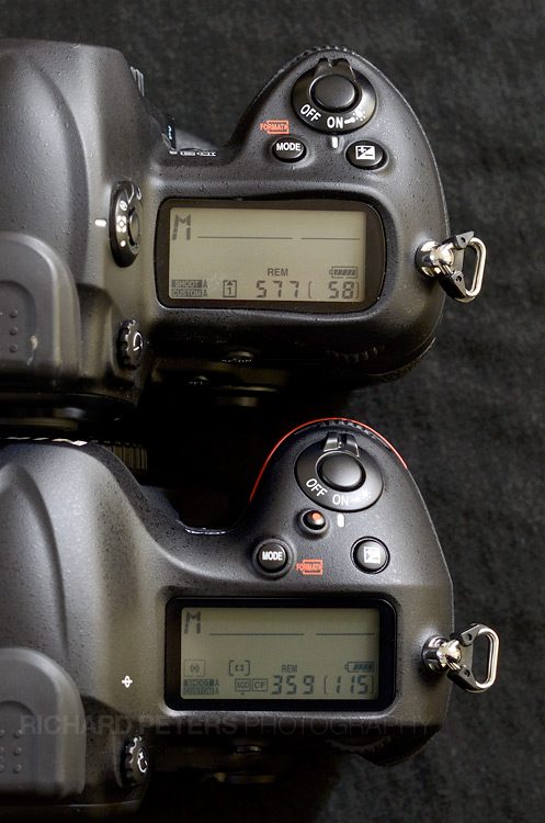 Nikon D4 vs D3s: initial review and comparison | Richard Peters Wildlife Photography