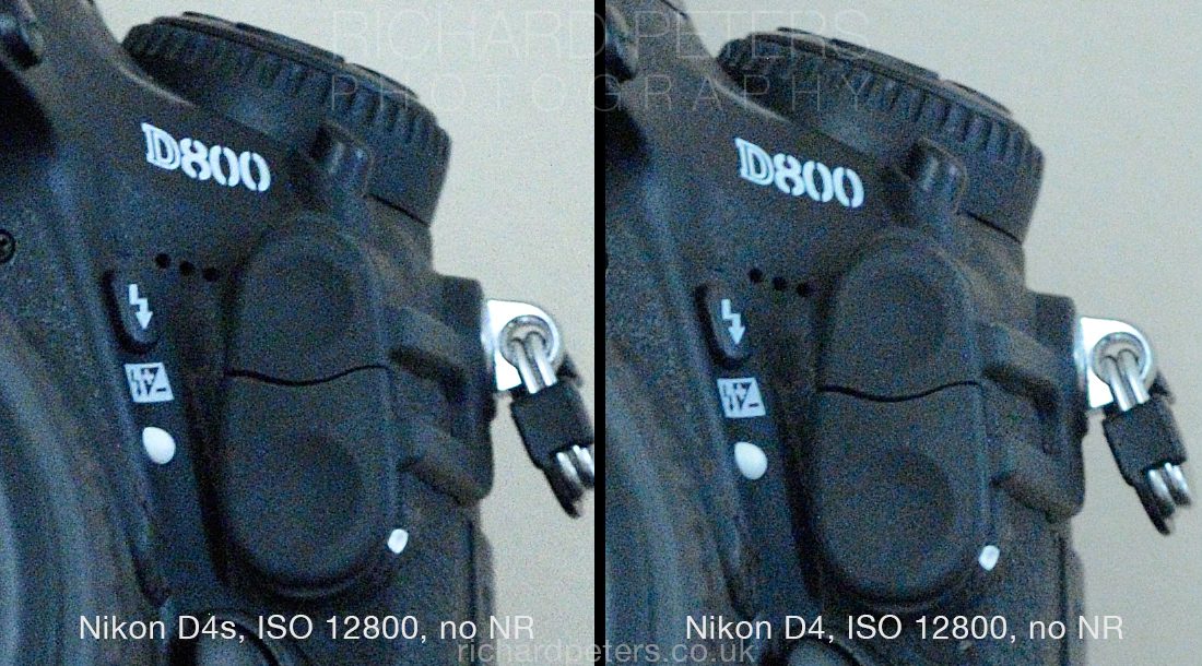 Nikon D4s vs D4 high ISO *UPDATE* | Richard Peters Wildlife Photography