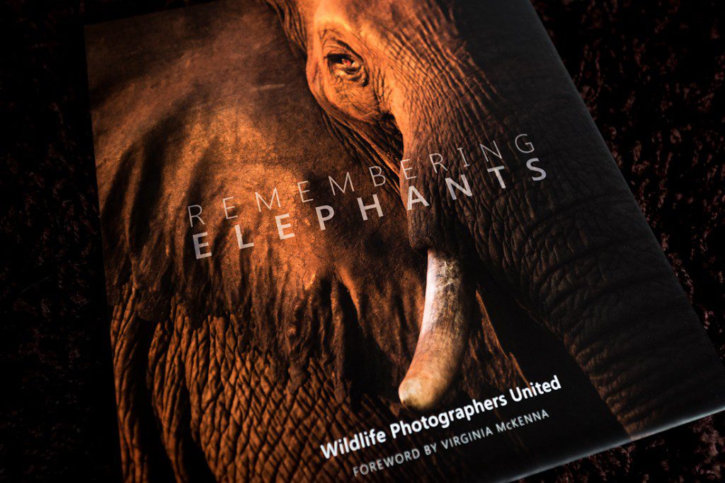 Remembering Elephants | Richard Peters Wildlife Photography