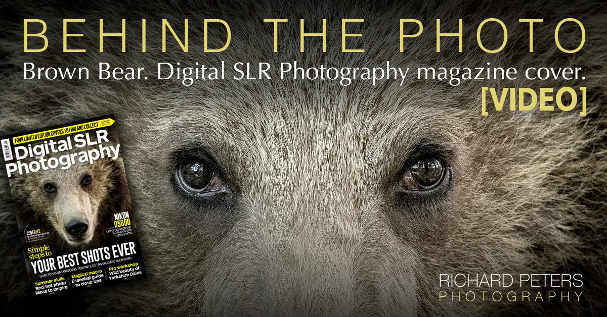 Brown Bear: Behind the magazine cover shot [Video] | Richard Peters ...