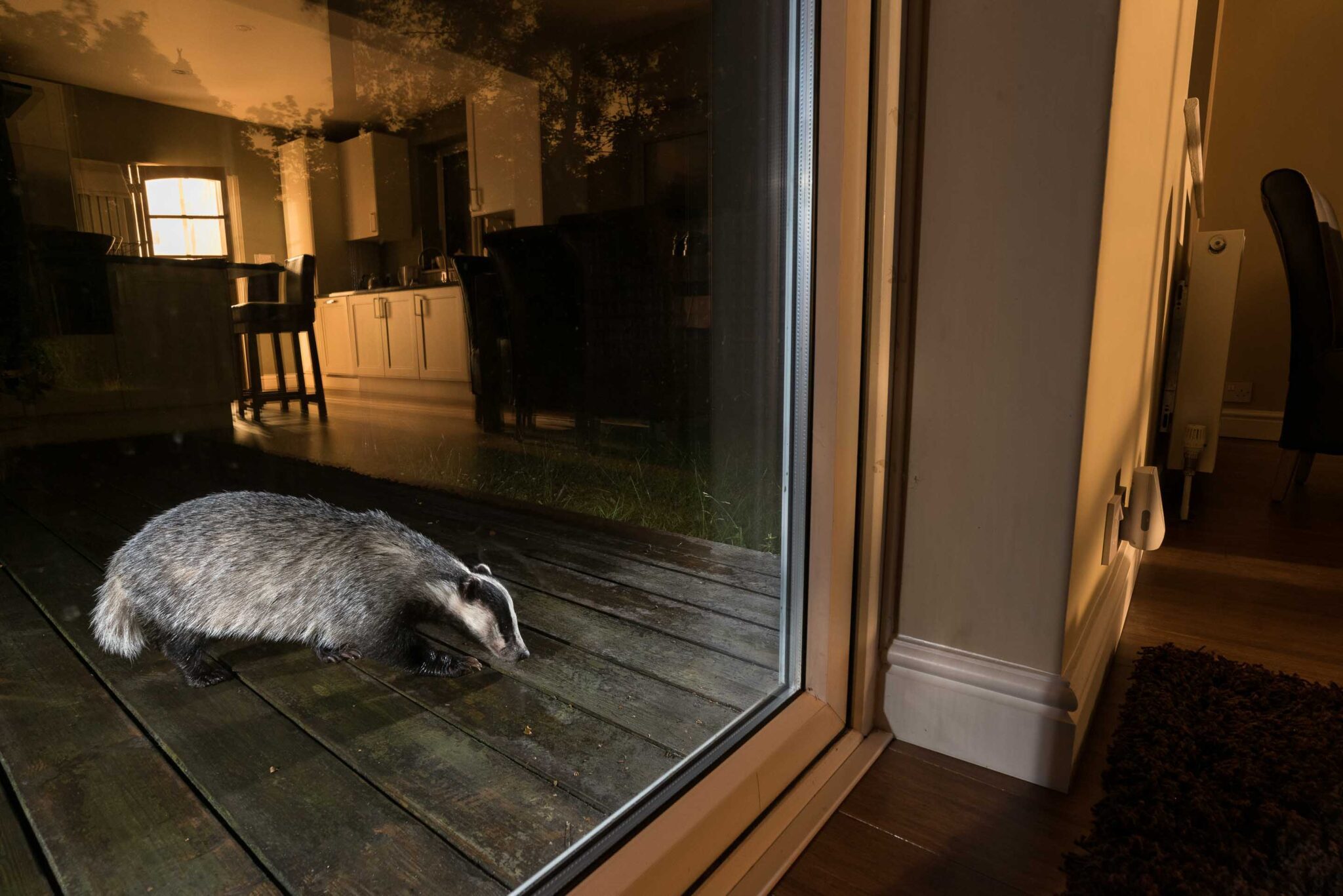 Wildlife Photography at Home, book | Richard Peters Wildlife Photography