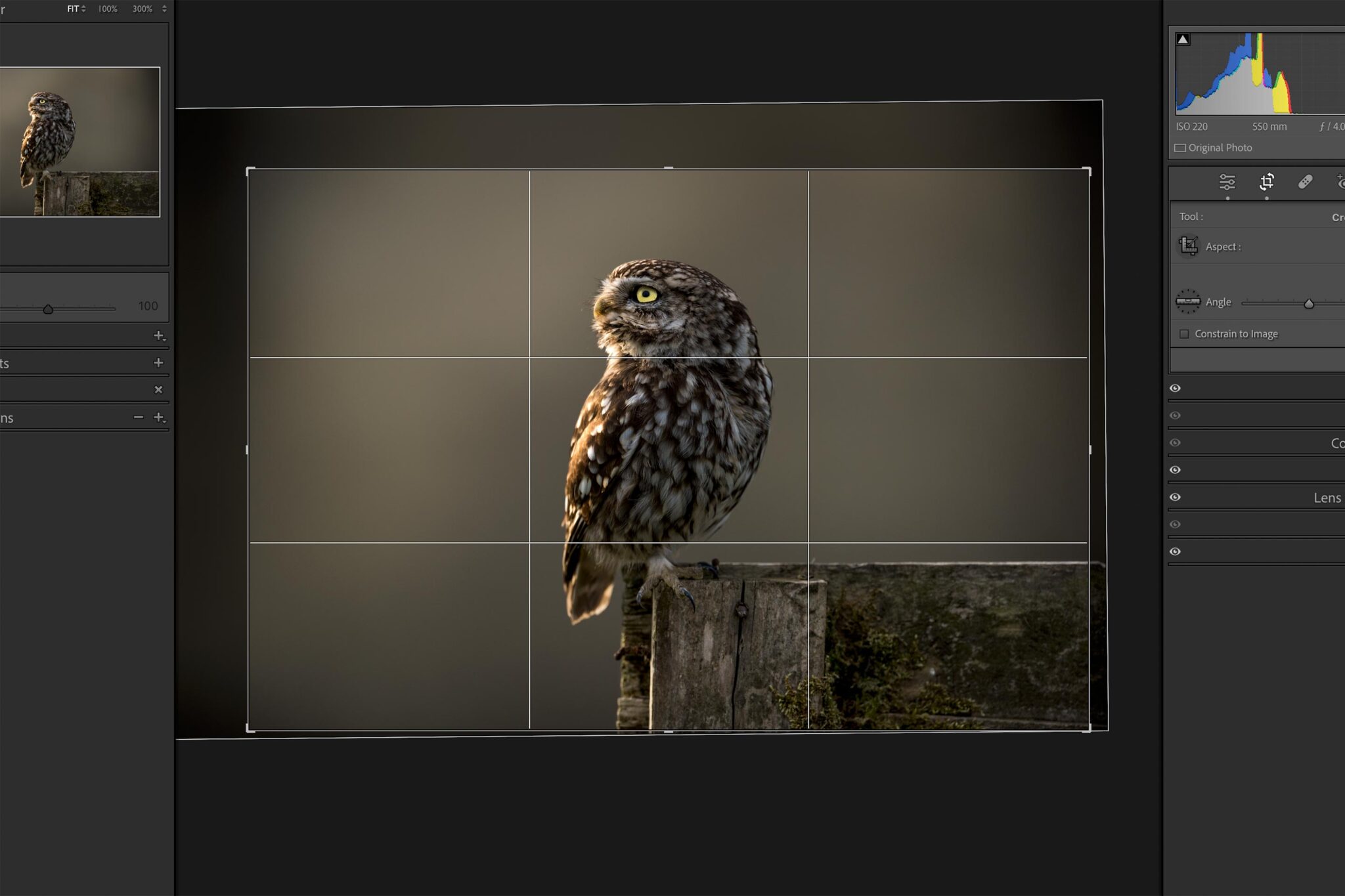 Lightroom workshop: photo processing and digital workflows