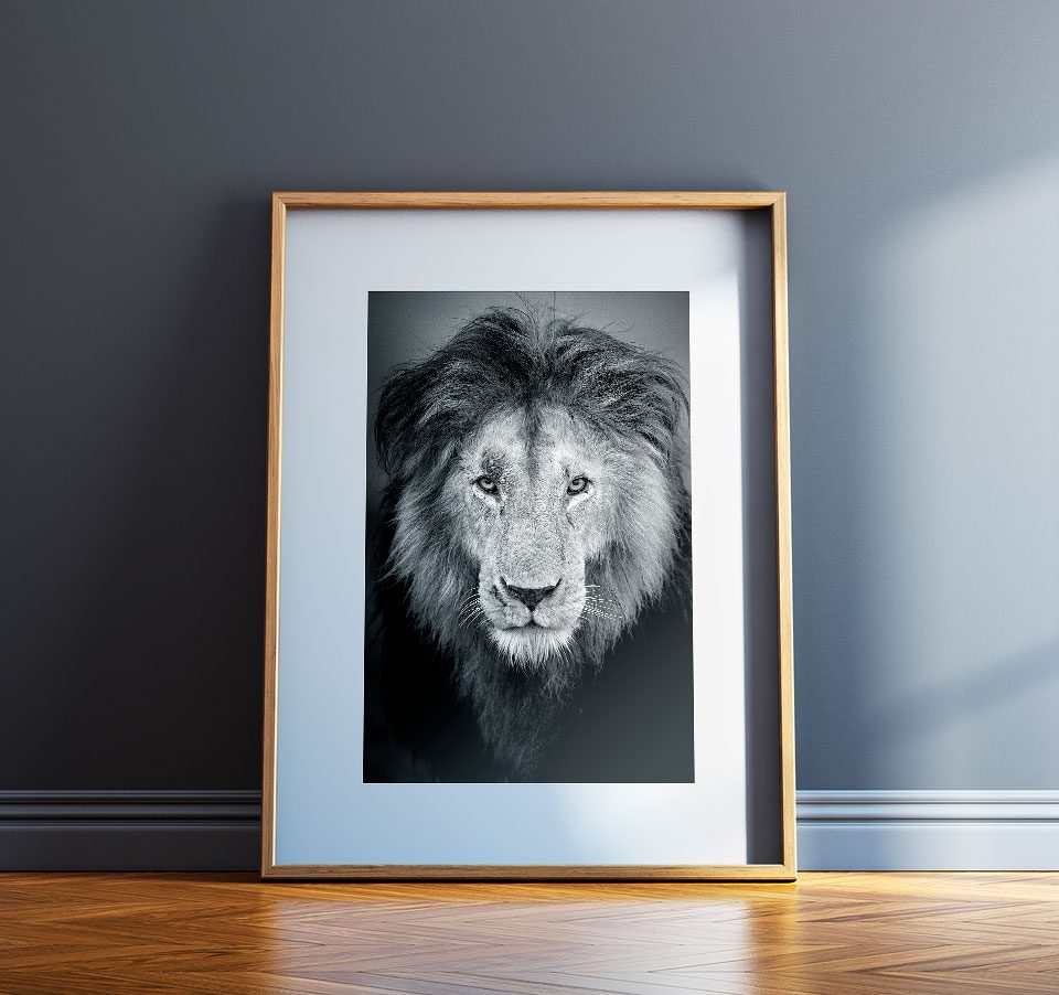 Richard Peters Wildlife Photography