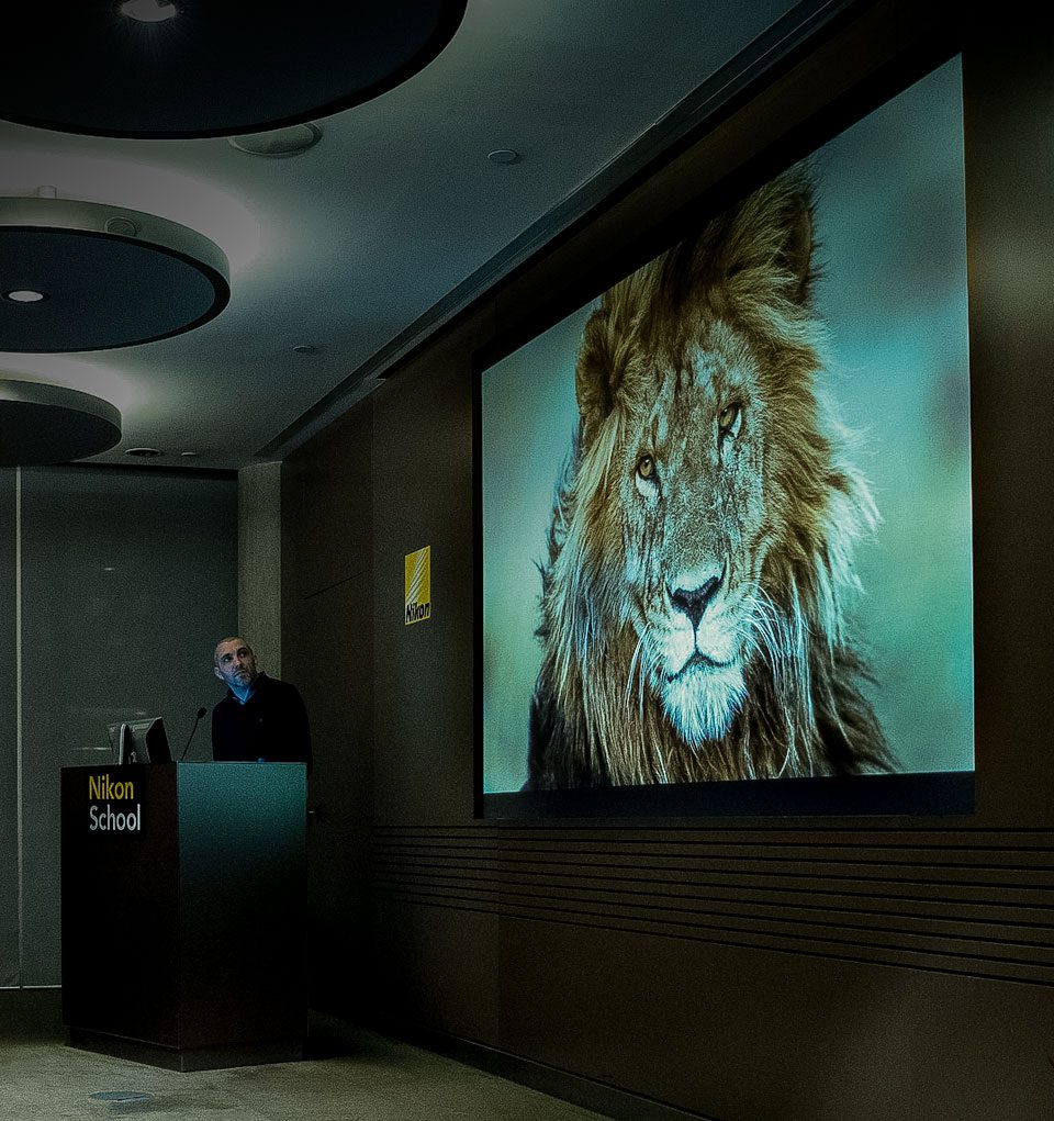 Richard Peters Wildlife Photography