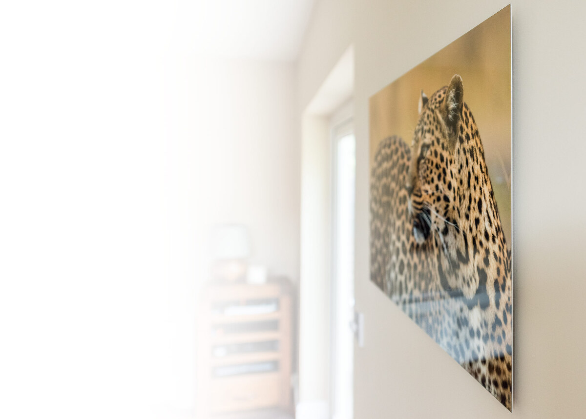 Beautiful fine art wildlife prints, for your home or office.